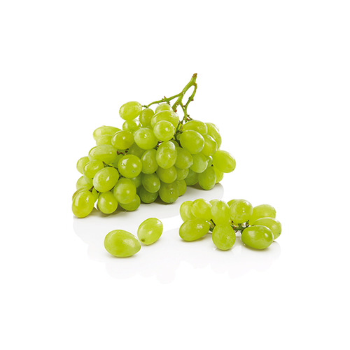 Grocery Store | Low Prices | Lidl US