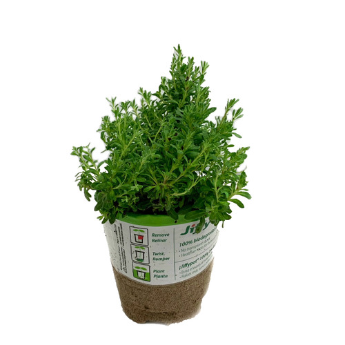 Grocery Store | Low Prices | Lidl US