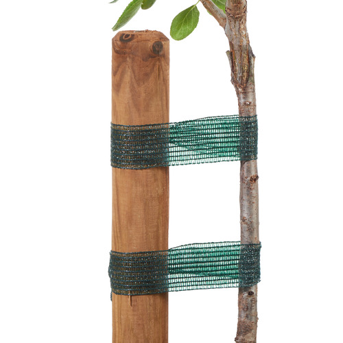 Grocery Store | Low Prices | Lidl US